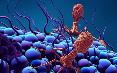 Microbiology // Majors at Mizzou // University of Missouri