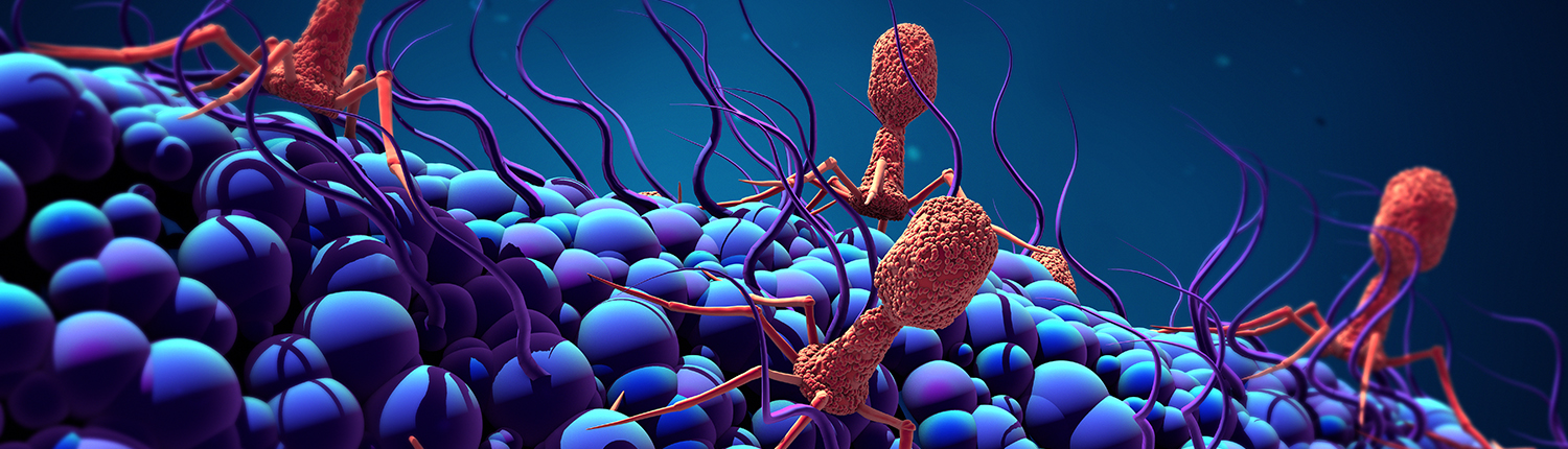 Microbiology - Majors at Mizzou